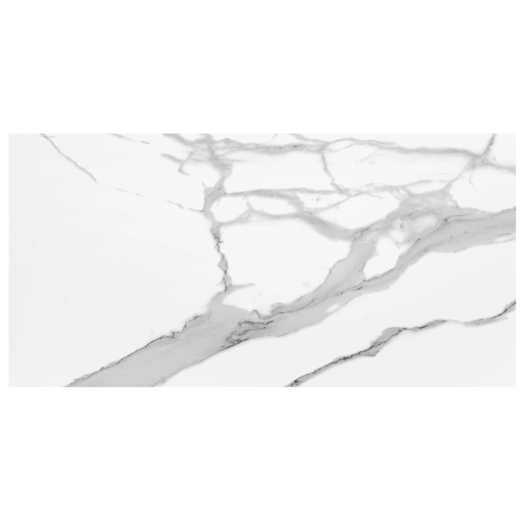 Carrara Essence 12x24 Matte - Anthology