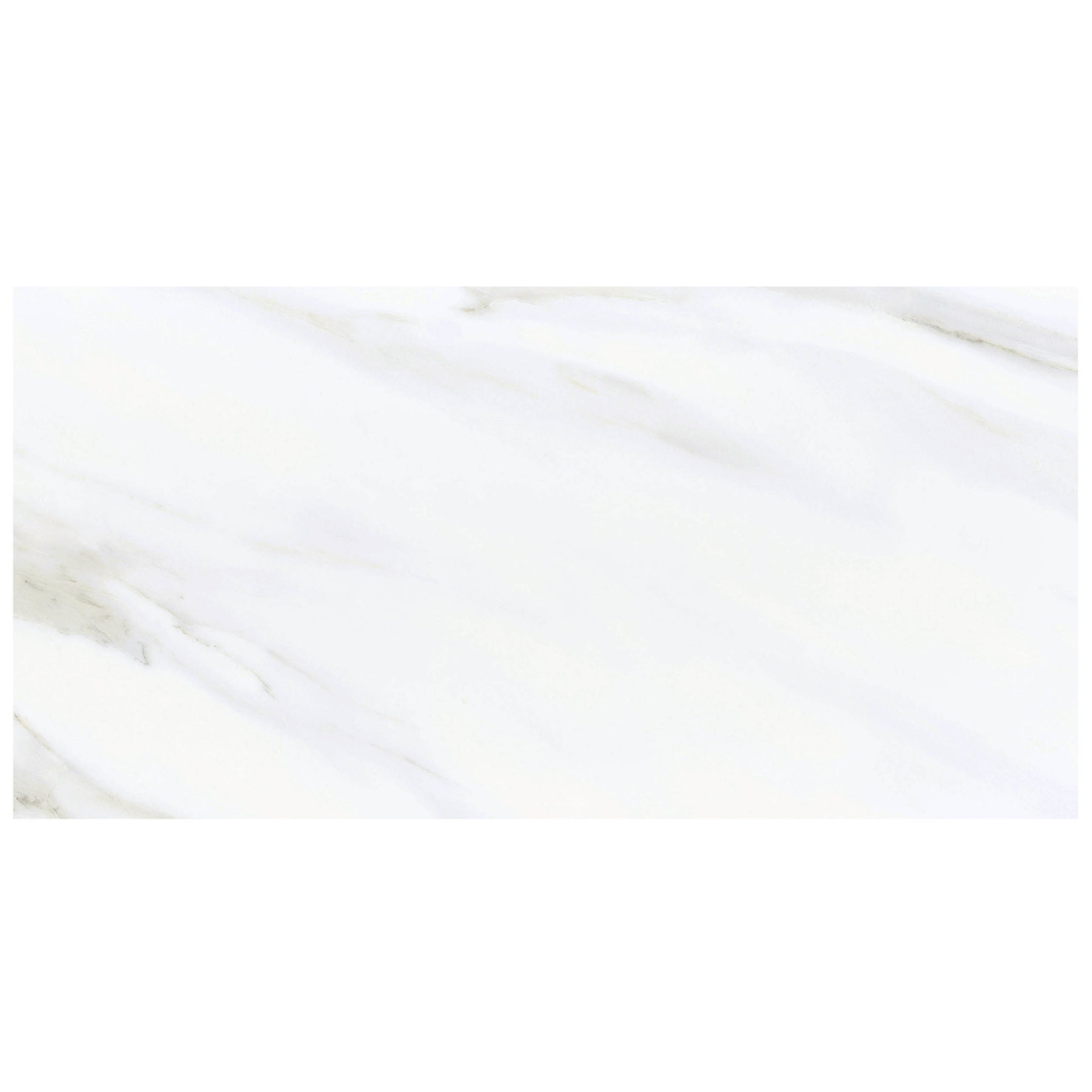 Carrara Essence 12x24 Matte - Anthology Tile