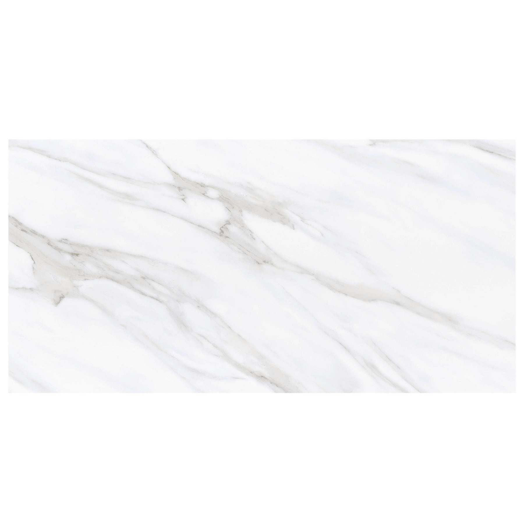 Carrara Essence 12x24 Polished - Anthology Tile
