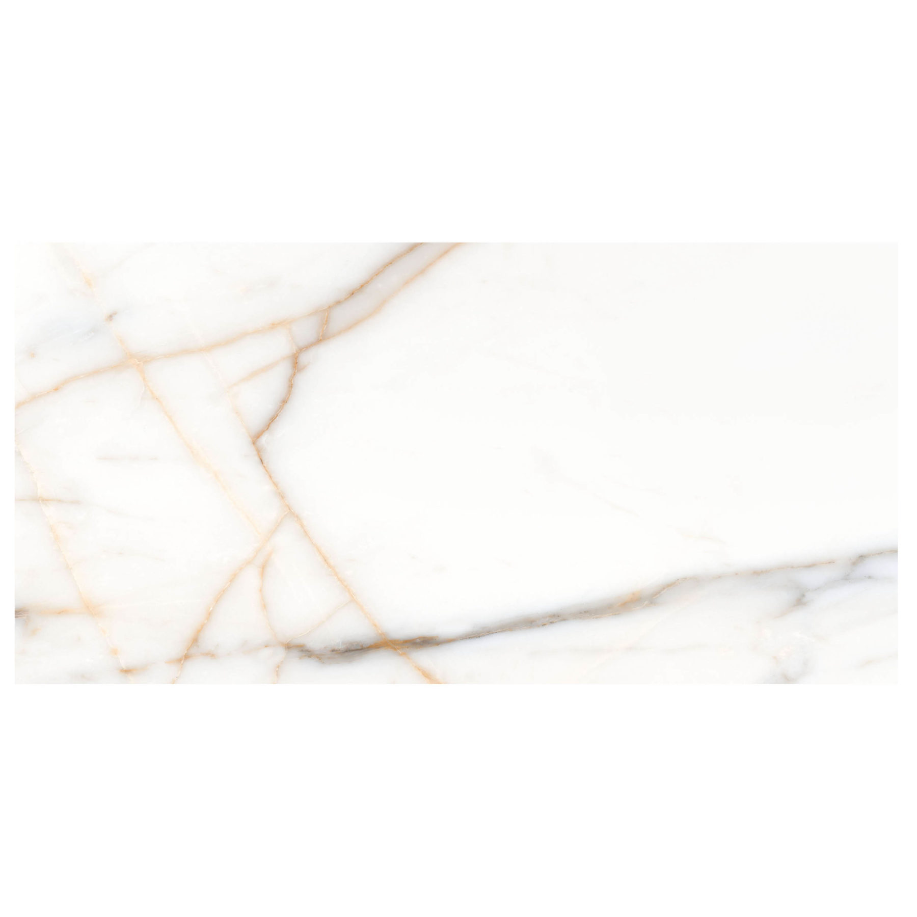 Carrara Essence 12x24 Matte - Anthology Tile